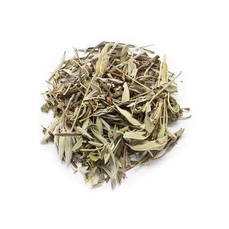 CondiRiko | Especias y Condimentos | Salvia